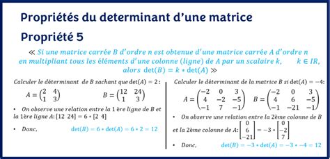PROPRIÉTÉS DU DÉTERMINANT D UNE MATRICE