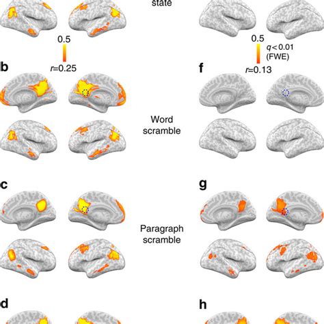 Seed Based Isfc Reveals Stimulus Induced Correlations In The Default