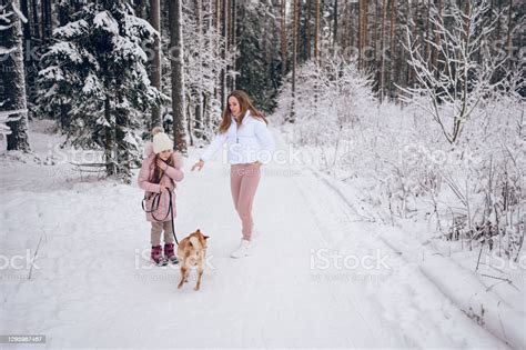 행복한 가족 젊은 어머니와 분홍색 따뜻한 아웃웨어에 작은 귀여운 소녀는 야외에서 눈 덮인 흰색 추운 겨울 숲에서 붉은 시바 이누