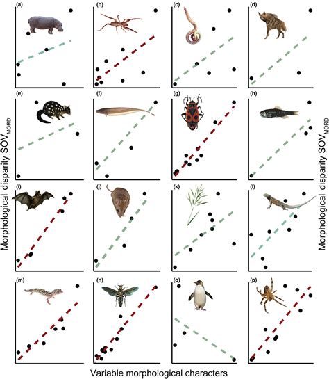 Why Should We Compare Morphological And Molecular Disparity Ende 2023 Methods In Ecology