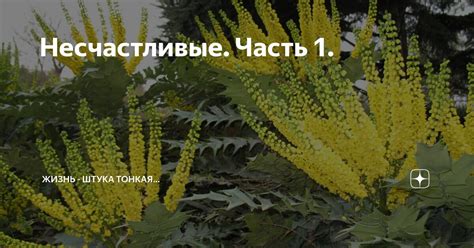 Несчастливые Часть 1 Жизнь штука тонкая Рассказы о любви дружбе отношениях Жизненные