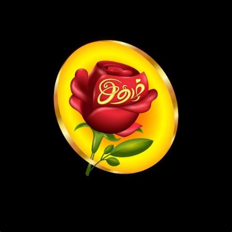 Ethal Product Youtube