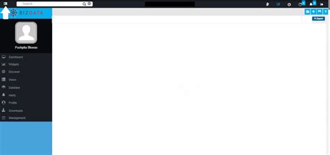 Dashboard Bizdata Help