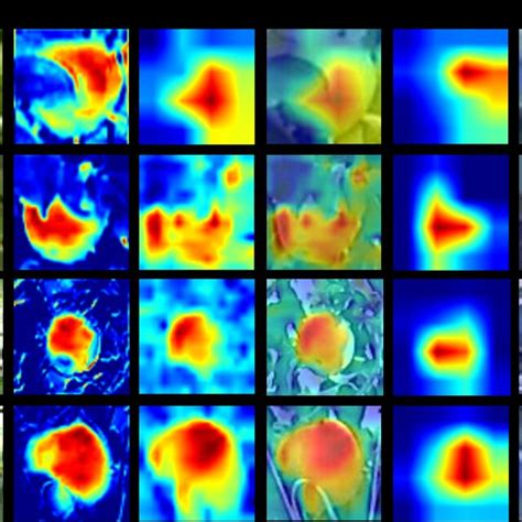 Visualizations Of The Feature Map And Class Specific Discriminative