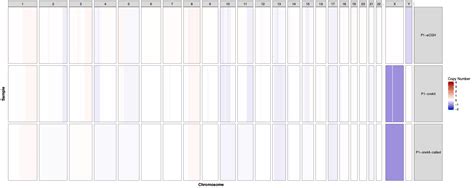 Incorrect CNVkit Output Issue Bcbio Bcbio Nextgen GitHub