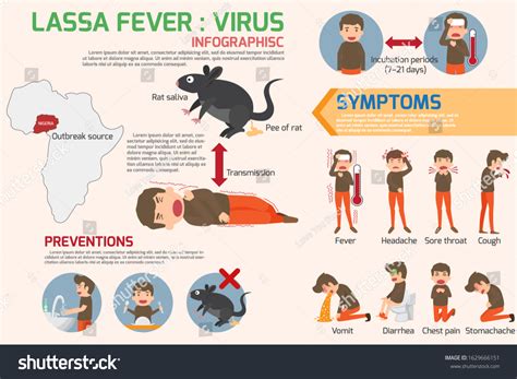 Lassa Fever Virus Infographics Elements Lassa Stock Vector Royalty