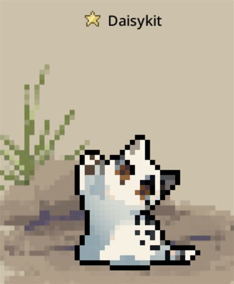 Clangen Kit Adoption U Abszehk