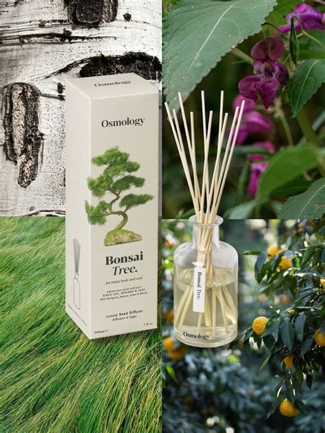 Osmology By Aery Bonsai Tree Reed Diffuser 200ml