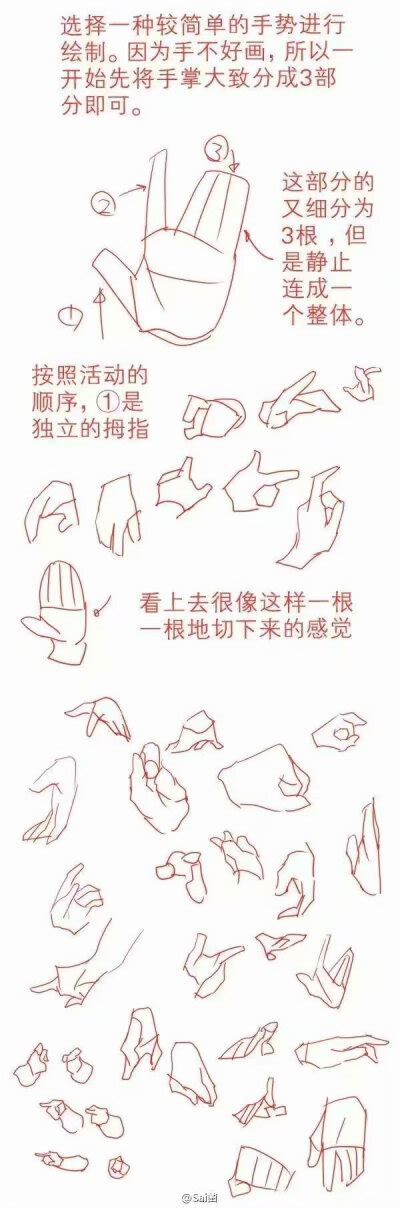 手 教程 素材 高清图片，堆糖，美图壁纸兴趣社区