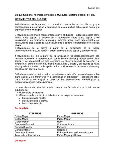 Bloque Funcional Miembros Inferiores 1 Daniela Udocz