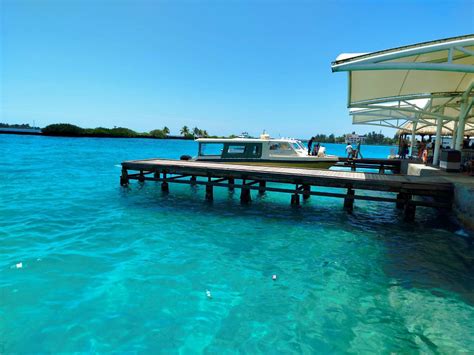 รับ Nace Ampp Level 1 Basic Coating Nace Thailand Ampp