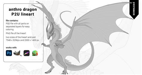 How To Draw Anthro Dragon