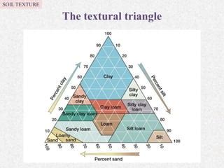 Soil Texture And Soil Structure PPTX