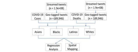 Data Management And Workflow Download Scientific Diagram