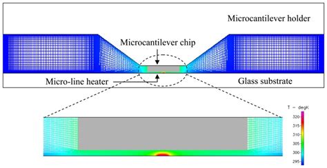 Two Dimensional Computational Simulation Domain Of The Microscale