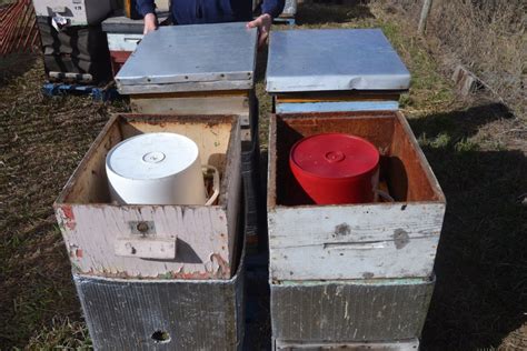 Bienen Füttern Futtermethoden Wann Was Und Wie Füttern