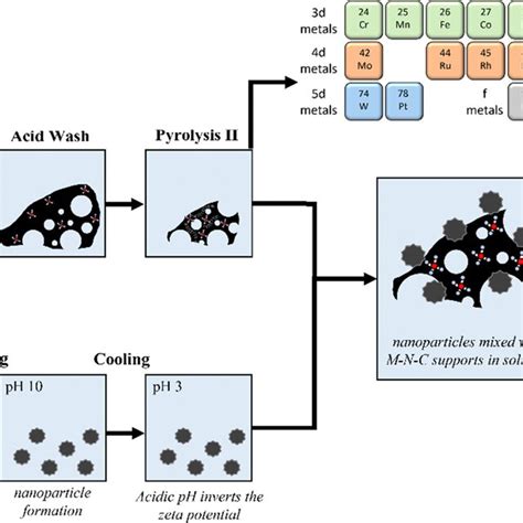 Synthesis Of The Ptmnc Samples The Sacrificial Support Method Top Download Scientific