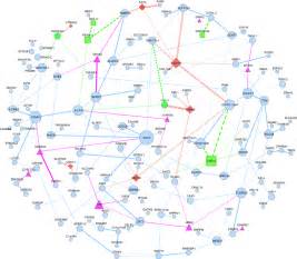 Epistasis Network For Wtccc Gwas Of Bipolar Disorder Network Inferred Download Scientific