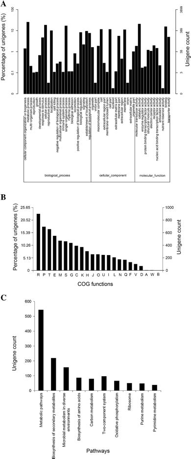 Functional Classification Of Unigenes A Gene Ontology Functional