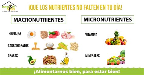 ¿por Que Debemos Tener Una Buena Ingesta De Micronutrientes
