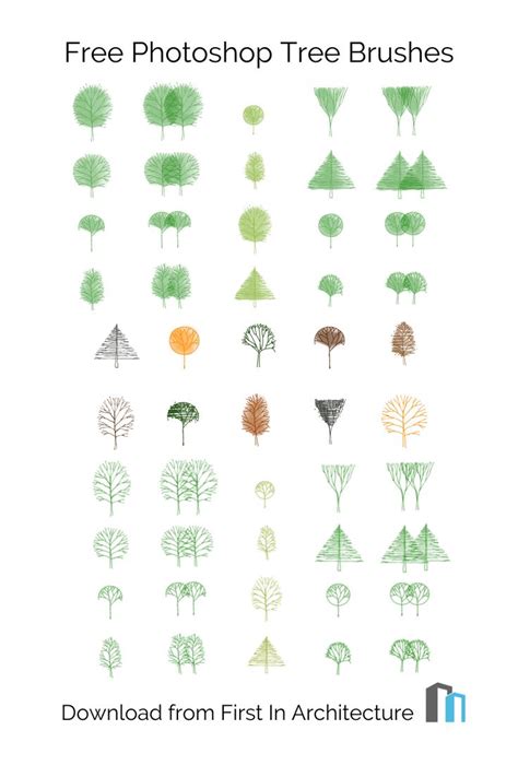Free Photoshop Tree Elevation Brushes Photoshop Brushes Free Free Photoshop Photoshop Brushes