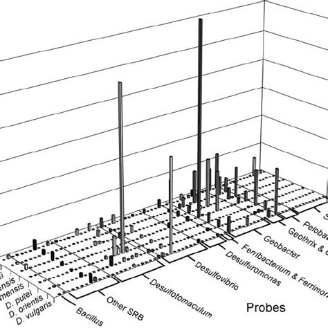 Background Corrected Validation Array Results For 100 Ng Of Fragmented