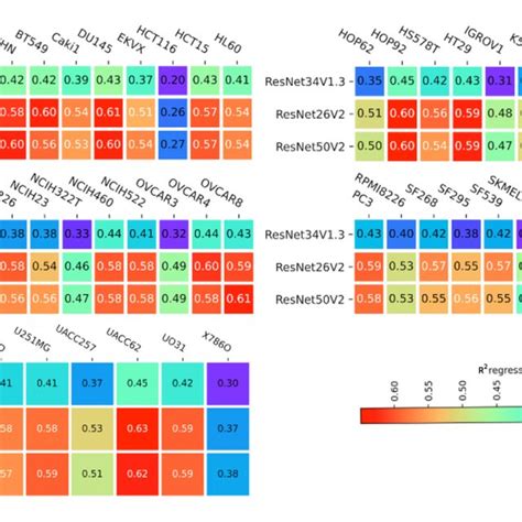 Heatmap With R 2 Value Prediction Per Healthy Tissue On The Tissue29 Download Scientific