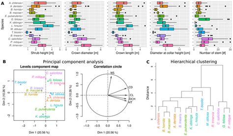 Species Specific Growth Habitat And The Correlation And Clustering Of