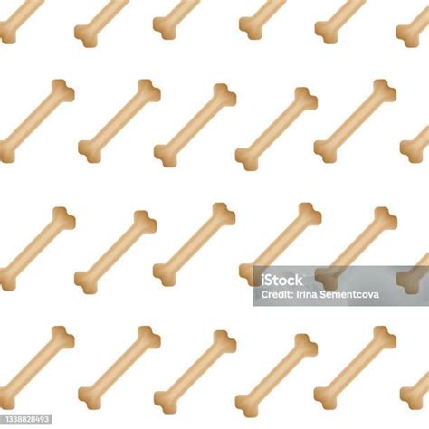 키가 격리되었습니다 흰색에 고립 된 개 뼈 흰색 배경 벡터 그림의 뼈 부분 히스 아이콘입니다 골격 벡터 그래픽입니다 할로윈 개 뼈 원활한 패턴 벡터 일러스트 0명에 대한