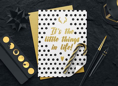 Gineva Script Font On Behance