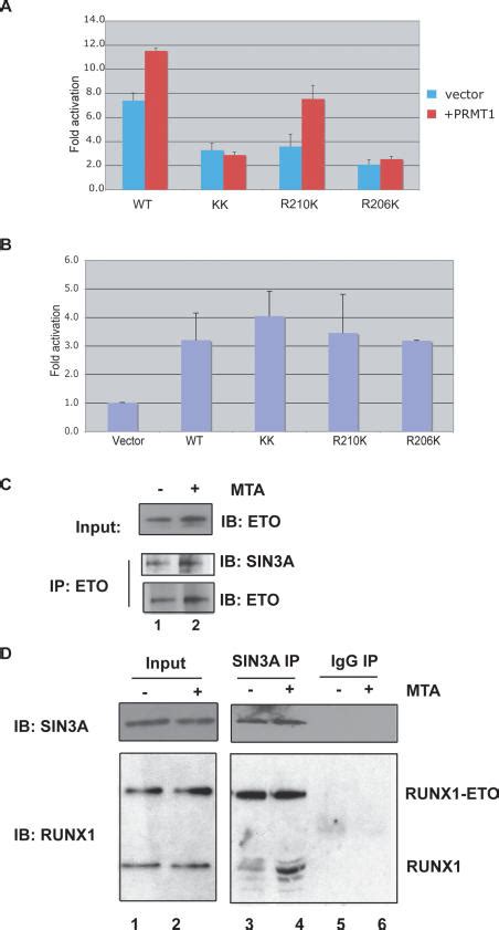 Methylation Of Runx1 By Prmt1 Abrogates Sin3a Binding And Potentiates
