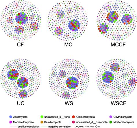 Co-occurrence network analysis of cultivated loessial soil fungi... | Download Scientific Diagram