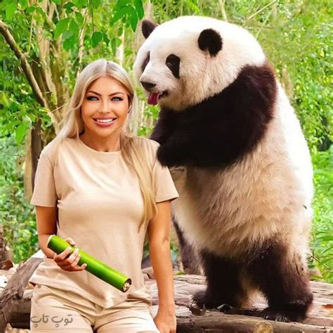 آلبوم عکس پاندا برای پروفایل دخترونه فانتزی و پابجی تــــــــوپ