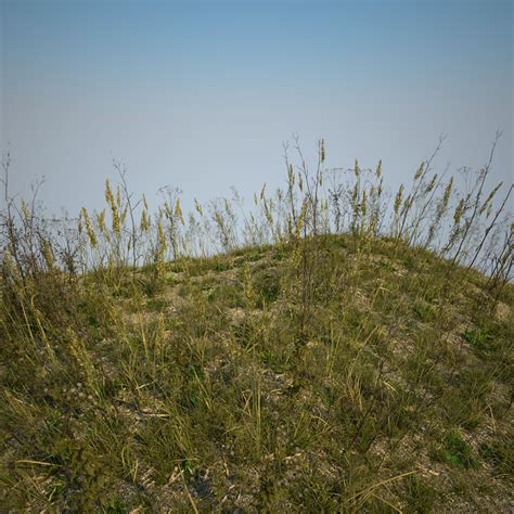 Wild Grass 3d Model 40 Ma Fbx Free3d