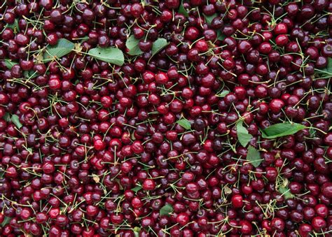 Stemilt Sales Exec Gives Retailers Advice On Washington Cherry Crop