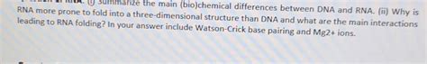 Solved Leading To RNA Folding Into A Three Dimensional Chegg