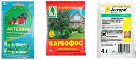 Жук солдатик – как избавиться от вредителя растений