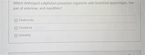 Solved Which Arthropod Subphylum Possesses Organisms With