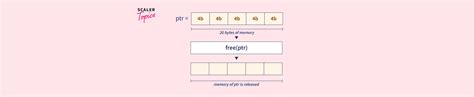 C Free Function Scaler Topics