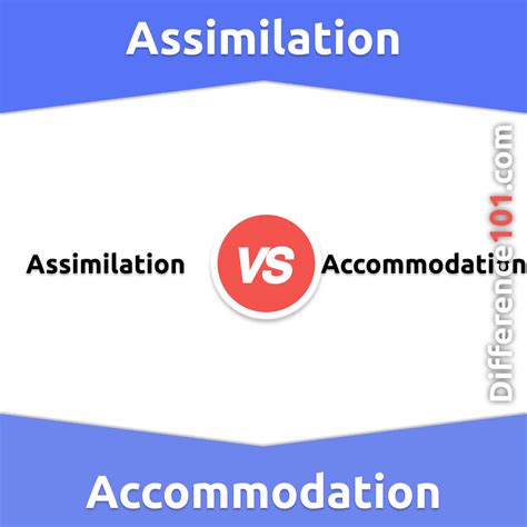 Assimilation Vs Accommodation 5 Key Differences Pros And Cons Similarities Difference 101