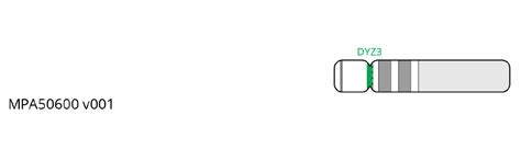 Myprobes X Y And 21 Enumeration Fish Probe