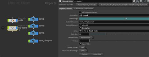 Houdini Flipbook Maker — Wenyi Zhang