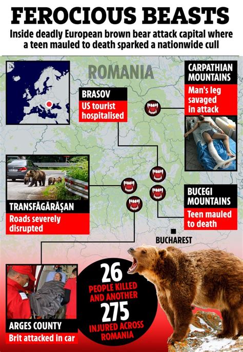 Inside Europes Terrifying Bear Attack Capital Where Savage Death Of