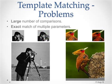 Flexible Shape Matching Ppt