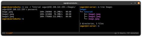 Use Scp Command In Ubuntu
