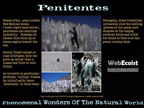 Phenomenal Wonders of the Natural World | PDF