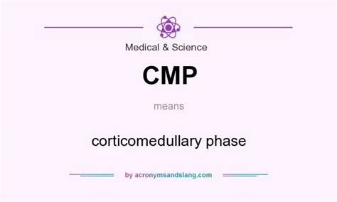 Cmp Corticomedullary Phase In Medical And Science By