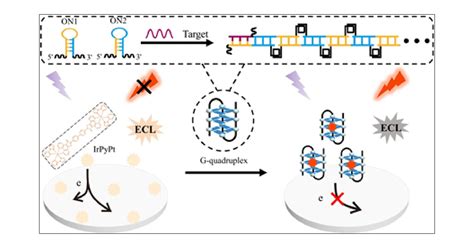 Iridium Complex With Specific Intercalation In The G Quadruplex A Phosphorescence And