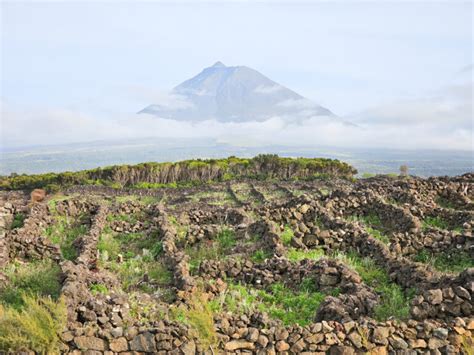 Wyspa Pico Azory co zobaczyć Madame Edith