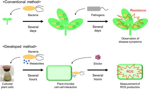 Schematic Illustration Of The Developed Method Compared To The
